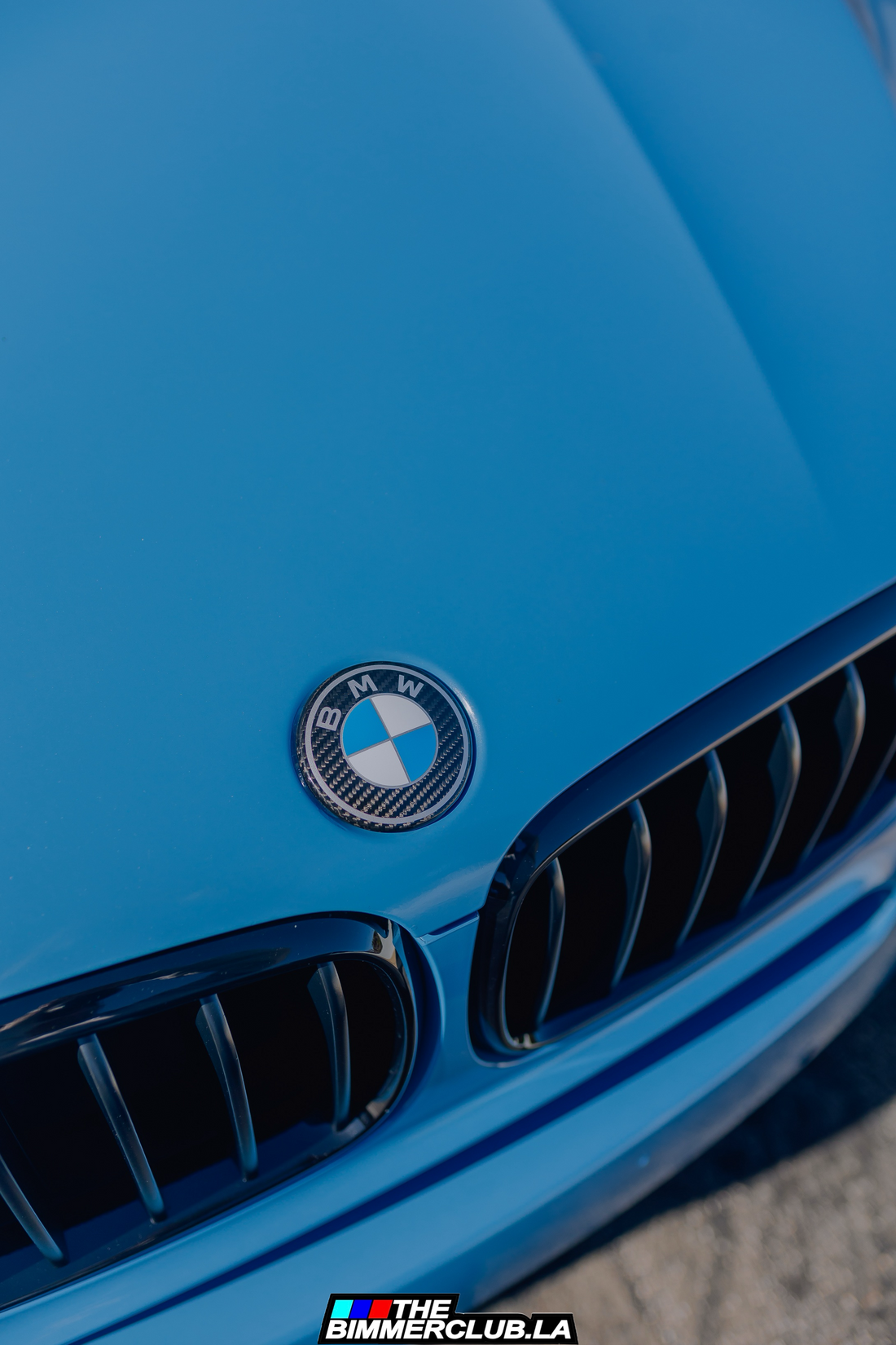 Carbon Fiber "Signature" Hood and Trunk Emblems – THE BIMMER CLUB